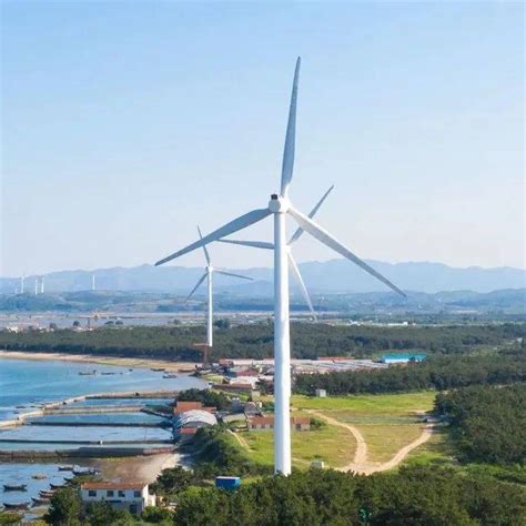 中化国际获得ecovadis银牌认证公司企业人权