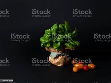 바질과 여러 가지 빛깔의 방울토마토가 어두운 배경에 클로즈업된 냄비 건강한 식생활에 대한 스톡 사진 및 기타 이미지 건강한