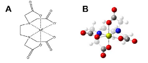 Structure Of Edta Chelating An Alkaline Earth Dication A Line Download Scientific Diagram