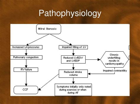 Mitral Valve Stenosis Pathophysiology