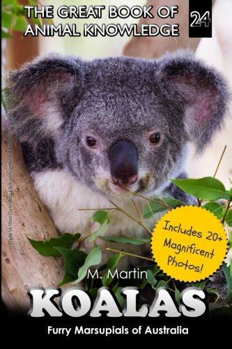 Koalas Furry Marsupials Of Australia The Great Book Of Animal