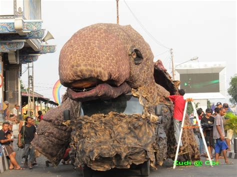 Ikan Opo Iki Jogjakarta Kaya Nya Kawinan Lele Ama Hi Zudi Susanto Flickr