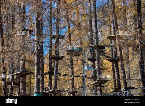 Cortina DAmpezzo Kletterpark Wald Herbst Parcours Abenteuer Geschlossen Baum Baumstamm