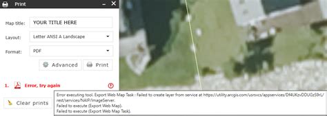Solved Print Widget Fails When Usa Naip Natural Imagery L Esri