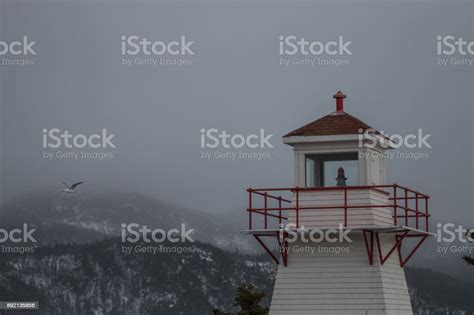 우 디 포인트 Gros Morne 국립 공원 뉴펀들랜드 및 래브라도에 흐린 Unesco 조직된 단체에 대한 스톡 사진 및 기타