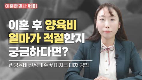 의정부이혼전문변호사 양육비 산정 기준부터 미지급 대처까지 양육비에 대한 궁금증 한번에 정리 이혼해결사 쎄미 Ep2