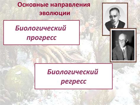 Основные направления эволюции презентация онлайн