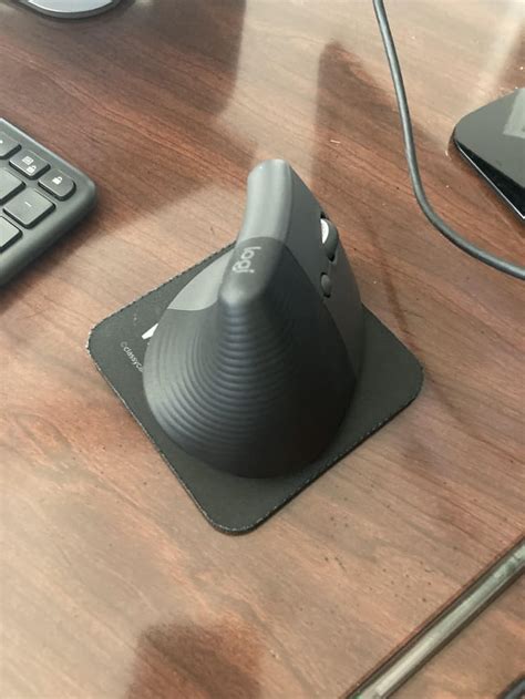 This Mouse Looks Like Its Sideways R Mildlyinteresting