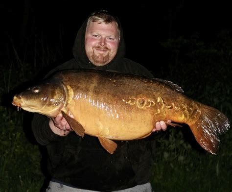 Gallery Trent Baits