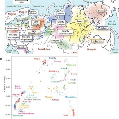 PDF Reconstructing Genetic History Of Siberian And Northeastern