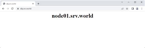 Debian 12 Bookworm Squid Configure As Reverse Proxy Server World