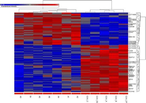 Condition Trees Of The Clustering Analysis The Cluster Analysis Was