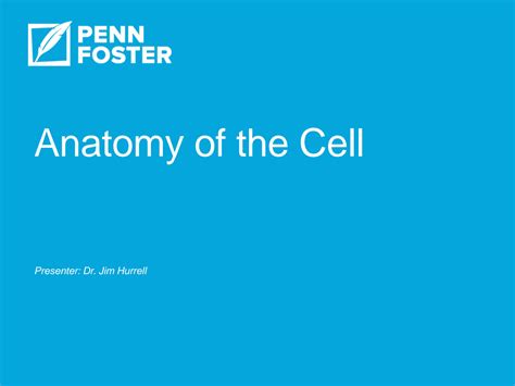 SOLUTION Chapter 003 Anatomy Of The Cell Studypool