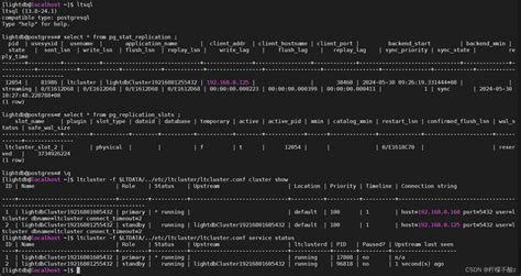 lightdb更换ip ltcluster CSDN博客