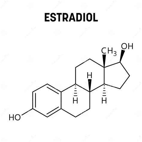 Estradiol Structural Formula Of Molecular Structure Stock Vector Estradiol Structural Formula Of Molecular Structure Stock Vector