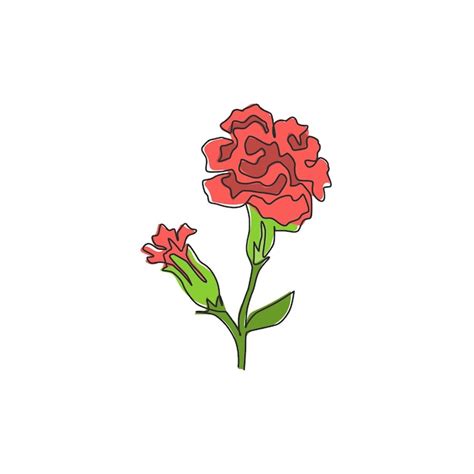 Dibujo de línea continua única belleza dianthus para arte de pared