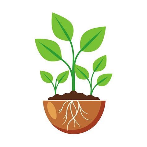 Premium Vector Seedlings Concept Illustration
