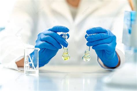 Labbased Exploration Of Genetic Modifications In Plants Experimented