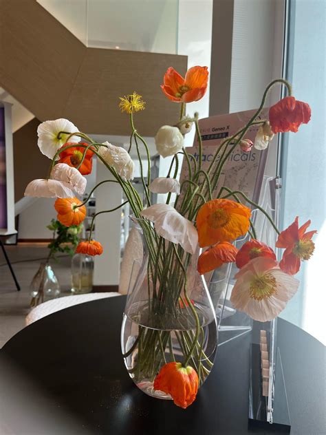 花の命は短いけど、花が創り出す鮮やかな色達は、自然界が創り出すとは思えないくらい美しい。 なんでこんな色がだせるの？って思う。 さらに命が短い