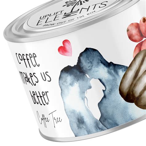 Kit De Plantare Uplift Cu Seminte De Arbore De Cafea EMAG Ro