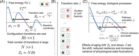 Aging Biology Aging Clocks Entropy And The Challenge Of Age Reversal
