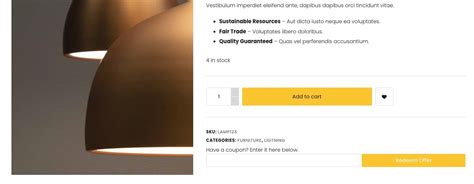How To Use Woocommerce Coupons In 23 Different Ways
