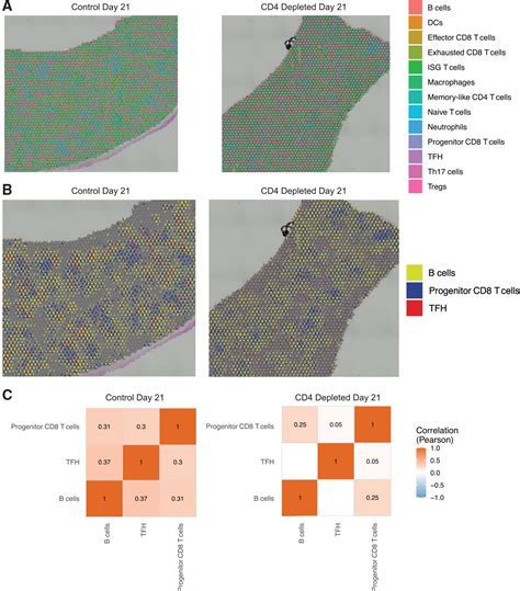 Spatial Transcriptomics Demonstrates The Role Of Cd4 T Cells In