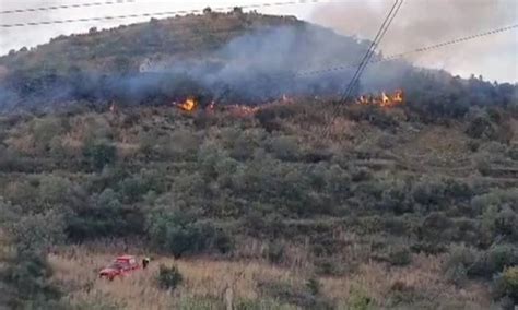 Zjarr në parcelën kodrinore në Lushnjë digjen hektarë shkurre e ullishte Tetova Sot