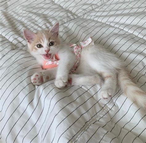 Haider Sultan Fotografía