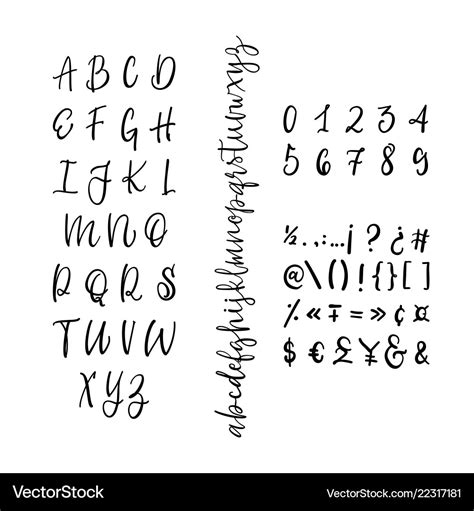 Modern Calligraphy Vintage Handwritten Font Vector Image