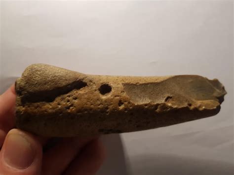 Fossil Or Stone R Fossilhunting