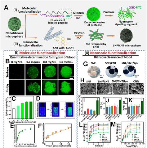 Functionalization Of The Snf Microspheres For Molecular Diagnosis And