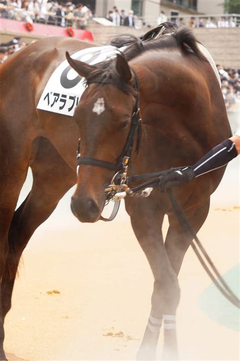 6月5日東京競馬⭐︎2歳新馬⭐︎ベアラブリー⭐︎愛知移籍 公式：黒澤ひかりのキラキラ日記～magic Kiss Lovers Only～