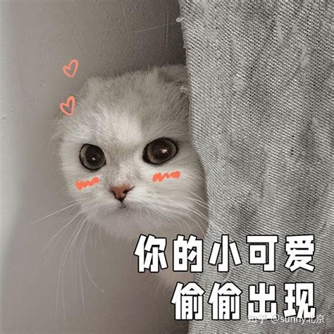 外地人与北京人结婚，多久可转北京户口？如何转？这3种情况可以转！ 知乎