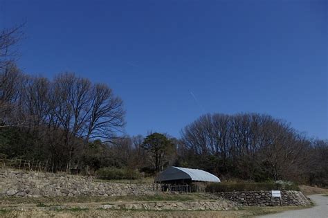 里山散歩啓蟄 ごきげんフォト散歩