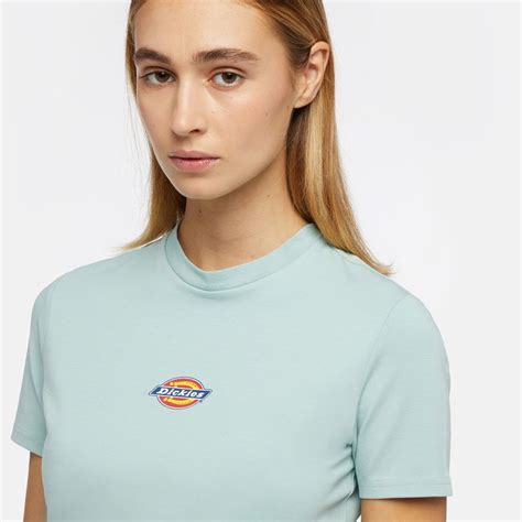 Dickies Maple Valley Tee Blue Surf Blue Surf Dk0a4xpoj591