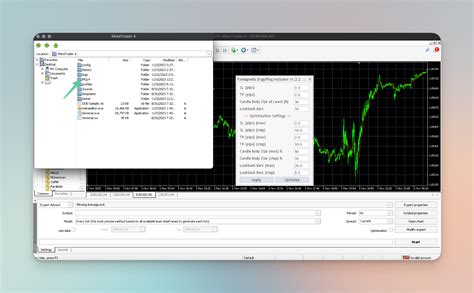Matrice Doptimisation Des Paramètres Dans Fxmagnetic Fxmagnetic™ Trading Software For