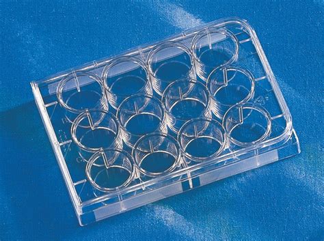 Corning Cellbind Surface 96 Well Clear Flat Bottom Polystyrene