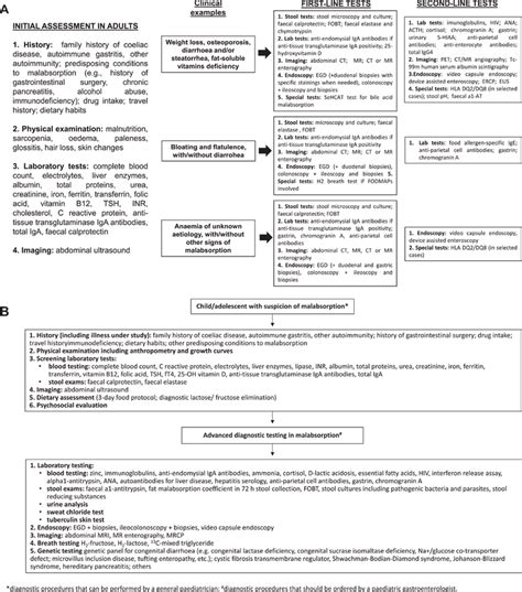 A Schematic Algorithm For The Diagnosis Of Malabsorption In Adults Download Scientific