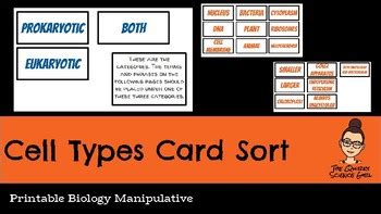 Cell Types Card Sort By The Quirky Science Girl TPT