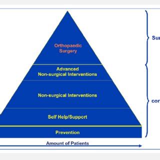 Treatment Algorhythm For OA Patients Download Scientific Diagram