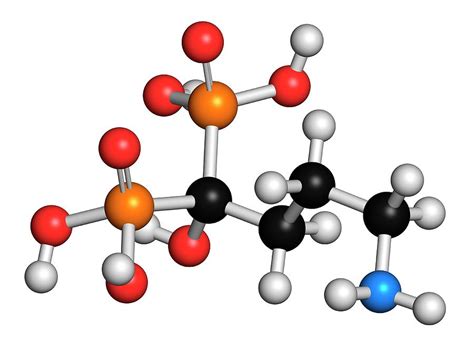 Alendronic Acid Osteoporosis Drug Photograph By Molekuul