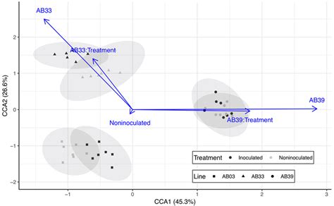 Differences In Global Metabolome Of Three Bermudagrass Lines Inoculated
