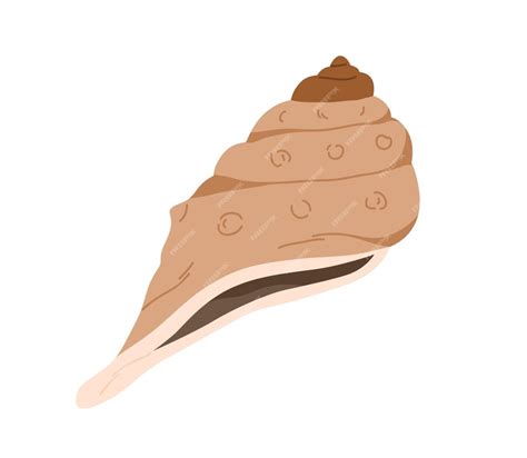 Premium Vector Conch Sea Shell Marine Seashell Icon Swirled