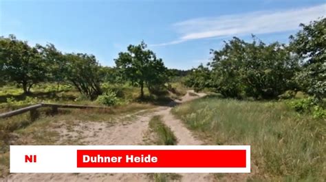Duhner Heide Cuxhavener Küstenheide zwischen Duhnen und Sahlenburg