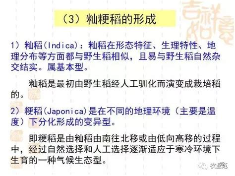科技助农巾帼行（二十一）水稻的一生 全面认识水稻的整个生长发育过程澎湃号·政务澎湃新闻 The Paper