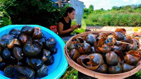 Forest Tour Cook Snails With Curry Recipe Eating Delicious Youtube