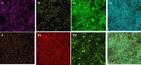 Elemental Mapping Of Fe3o4mcm 41 Cps Tch Pd Download Scientific Diagram