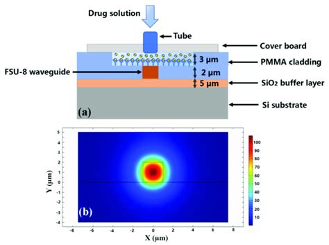 Structural Analysis Of A Cross−sectional Profile Of Sensing Window