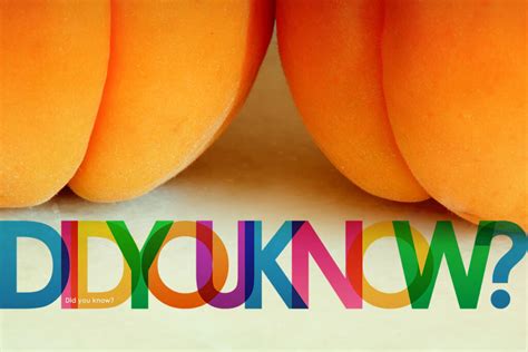 Sex Facts You Probably Didnt Know Positive Peers Staging